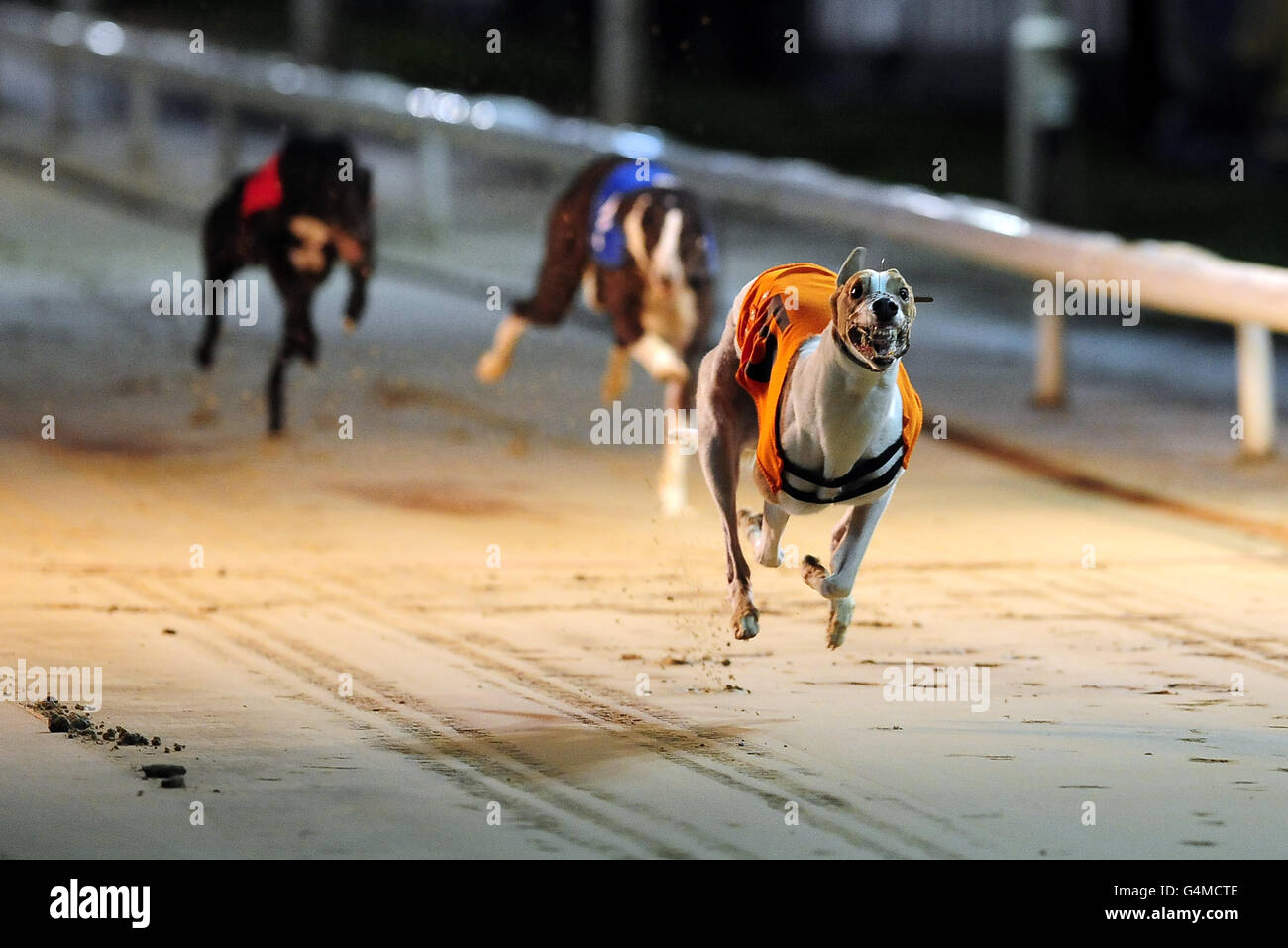 Newcastle greyhound stadium hi-res stock photography and images - Alamy