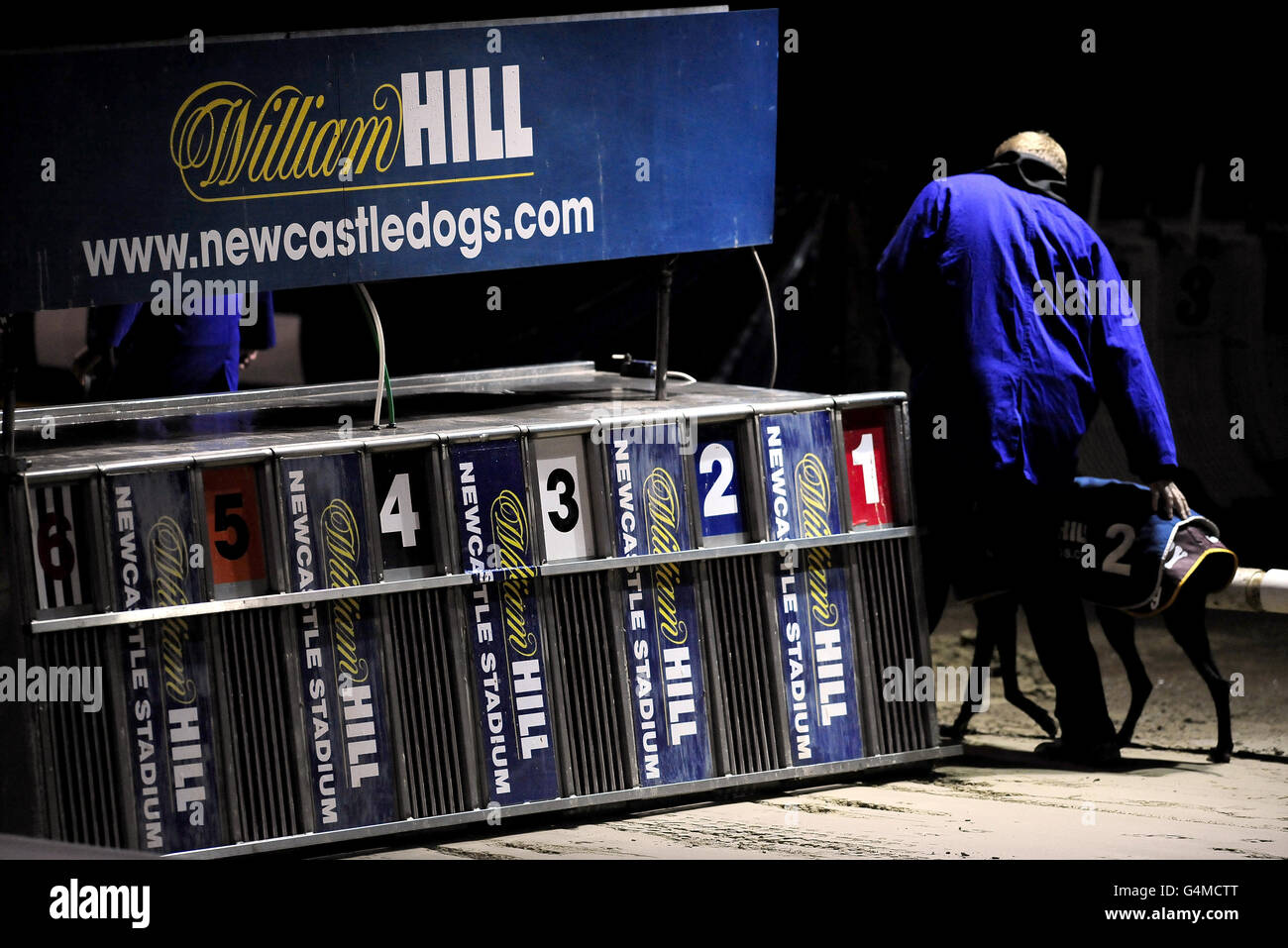 A greyhound is led to the traps at Newcastle Greyhound Stadium Stock ...