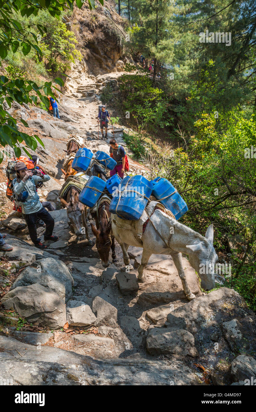 Track to Everest Base Camp Stock Photo - Alamy