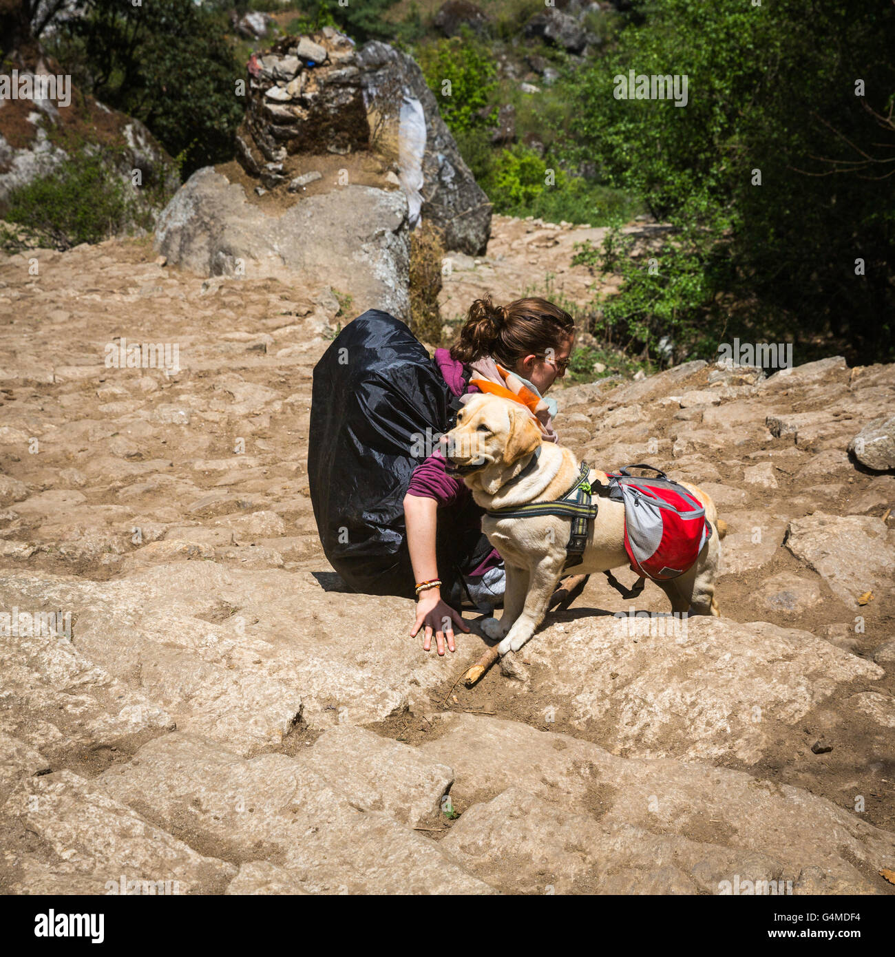 Track to Everest Base Camp Stock Photo - Alamy