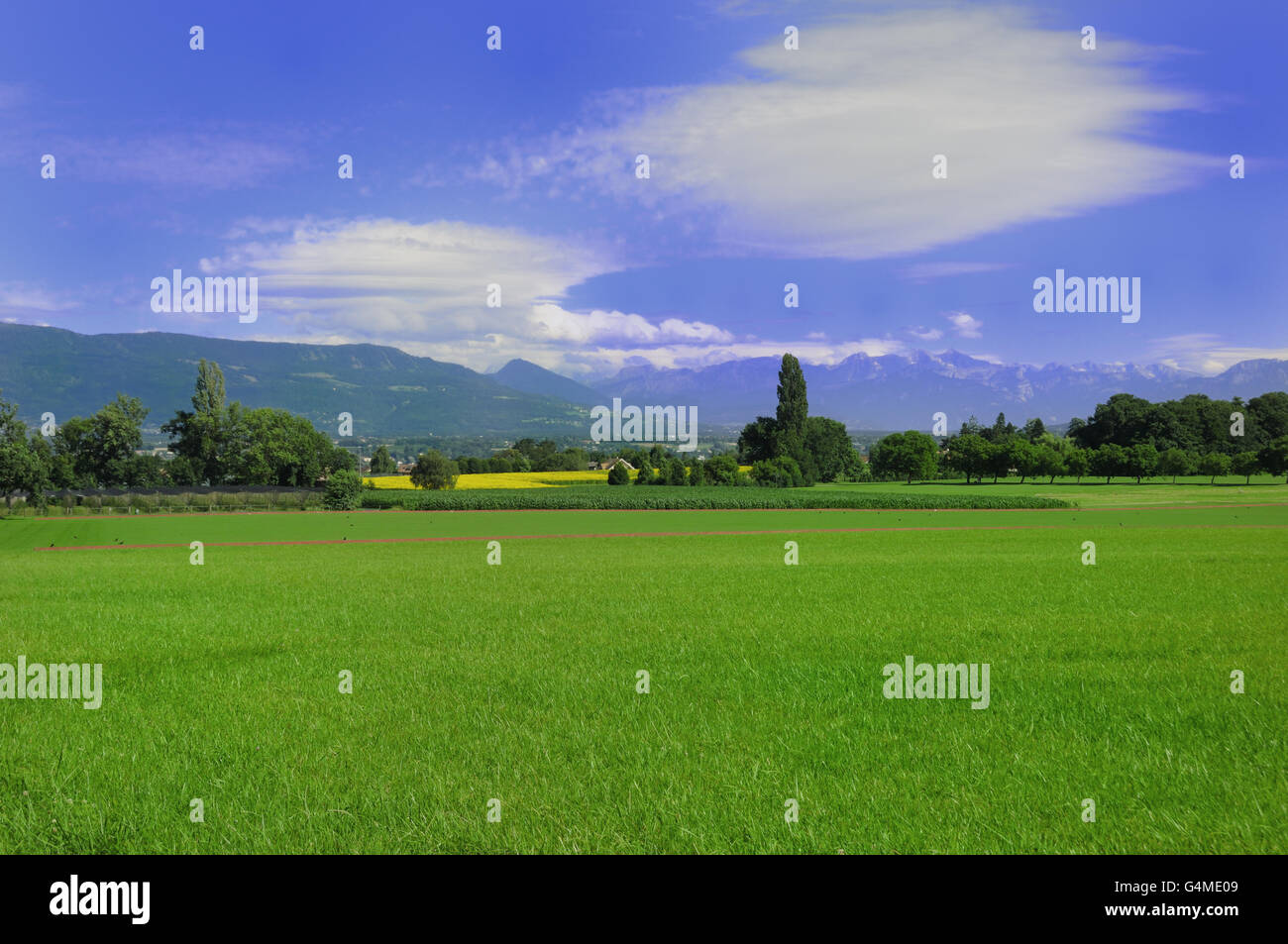 Swiss alps geneva summer hi-res stock photography and images - Alamy