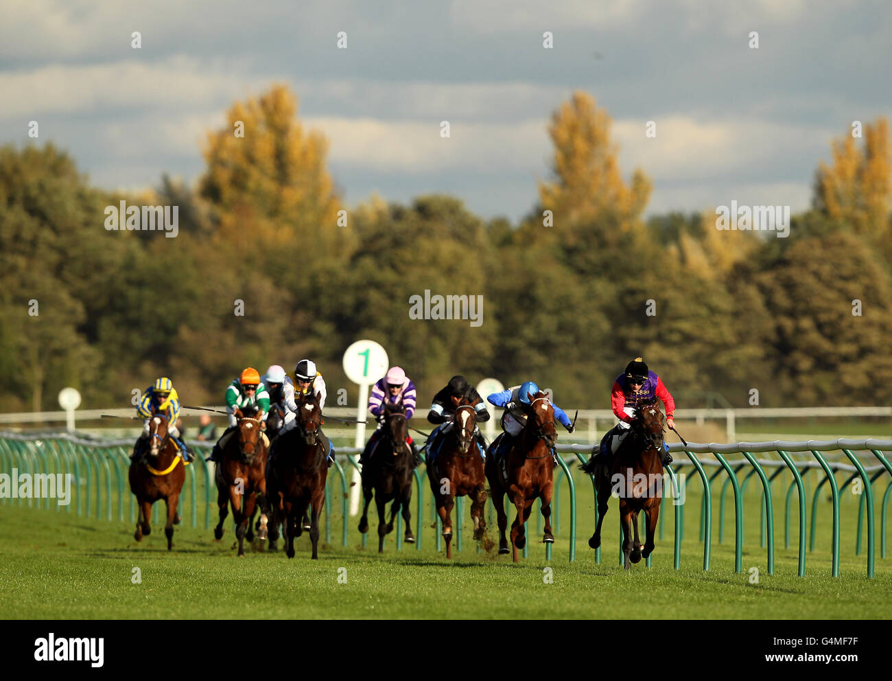 Moidore High Resolution Stock Photography and Images - Alamy