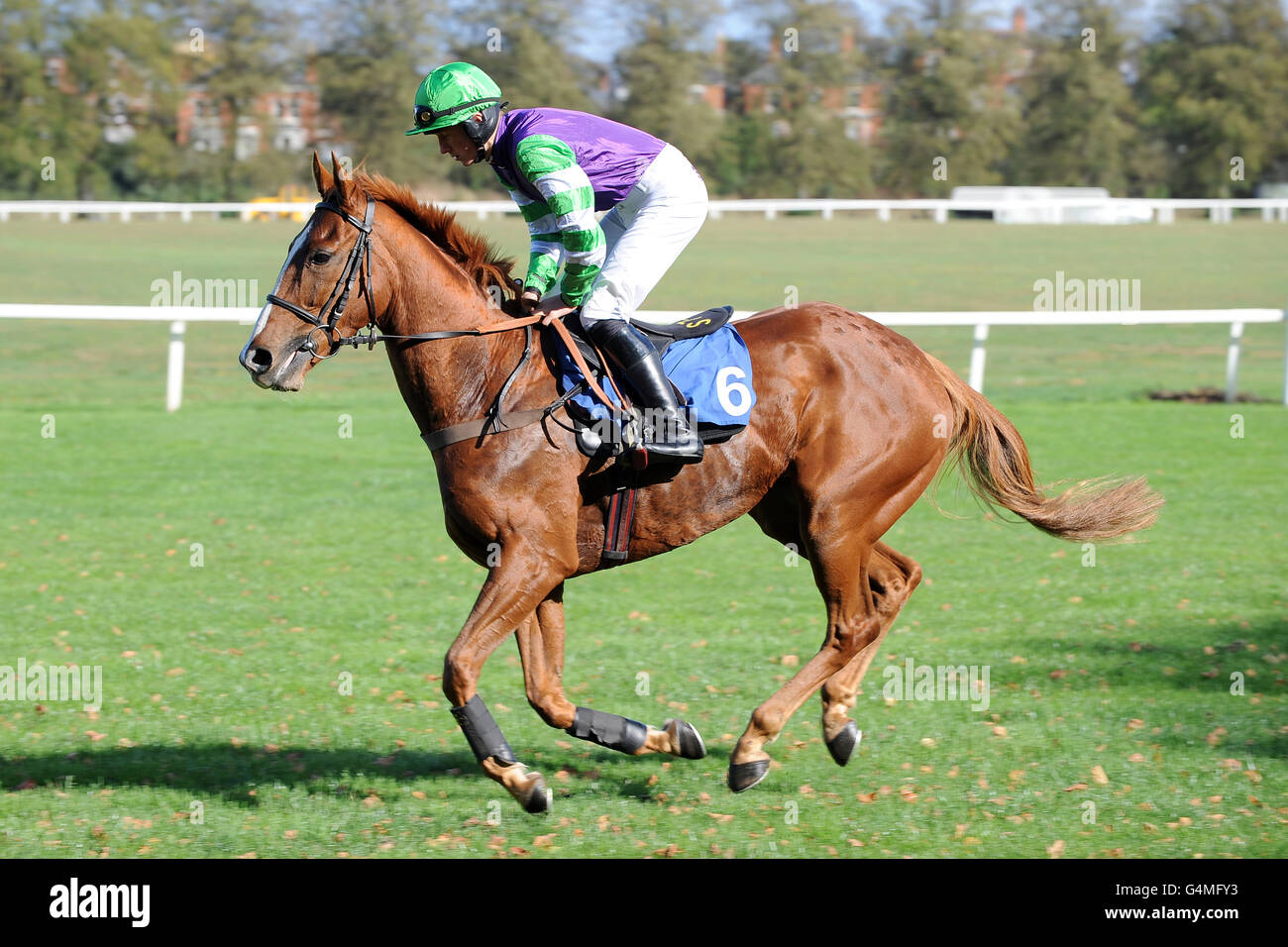 Horseracing races full length goes going hi-res stock photography and ...
