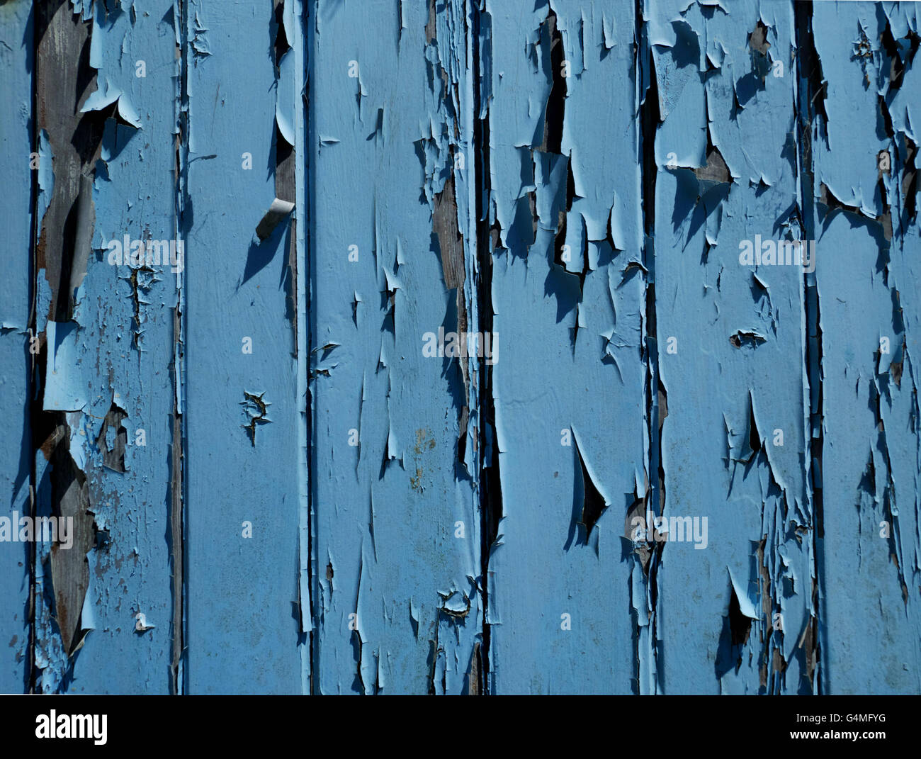 Flaking blue paint on a wooden door, Polperro, Cornwall Stock Photo - Alamy