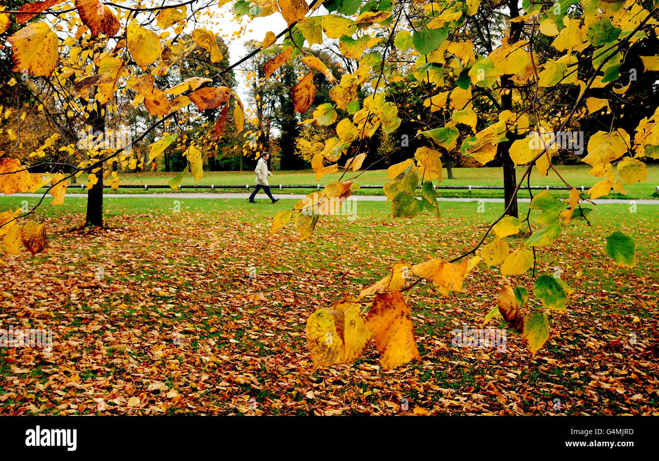 Autumn weather Nov 2 Stock Photo - Alamy