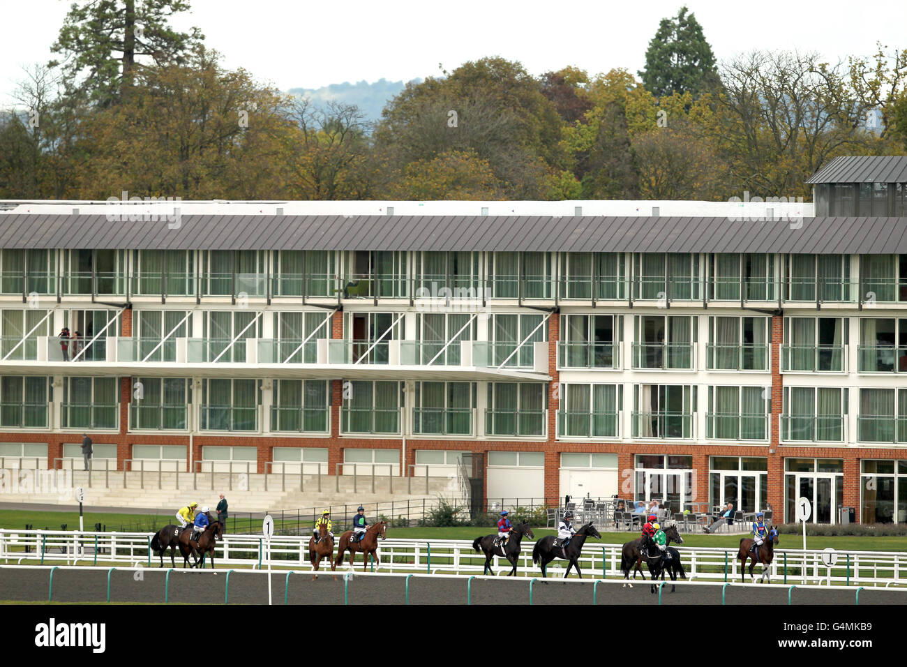 Horse Racing - Lingfield Park. A general view of racehorses in front of ...