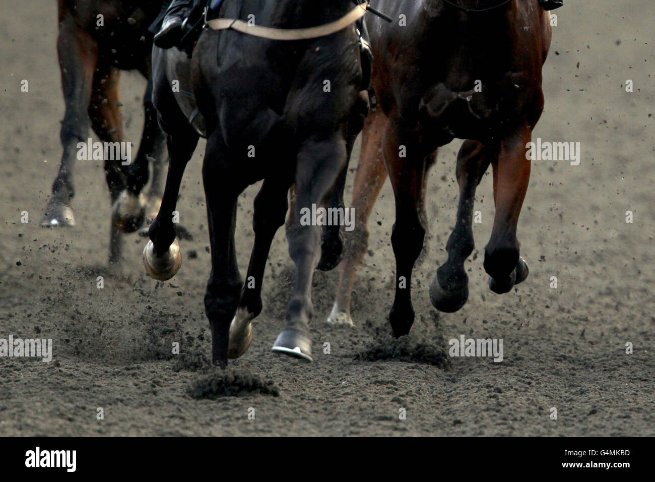 Lingfield park all weather racecourse hi-res stock photography and ...