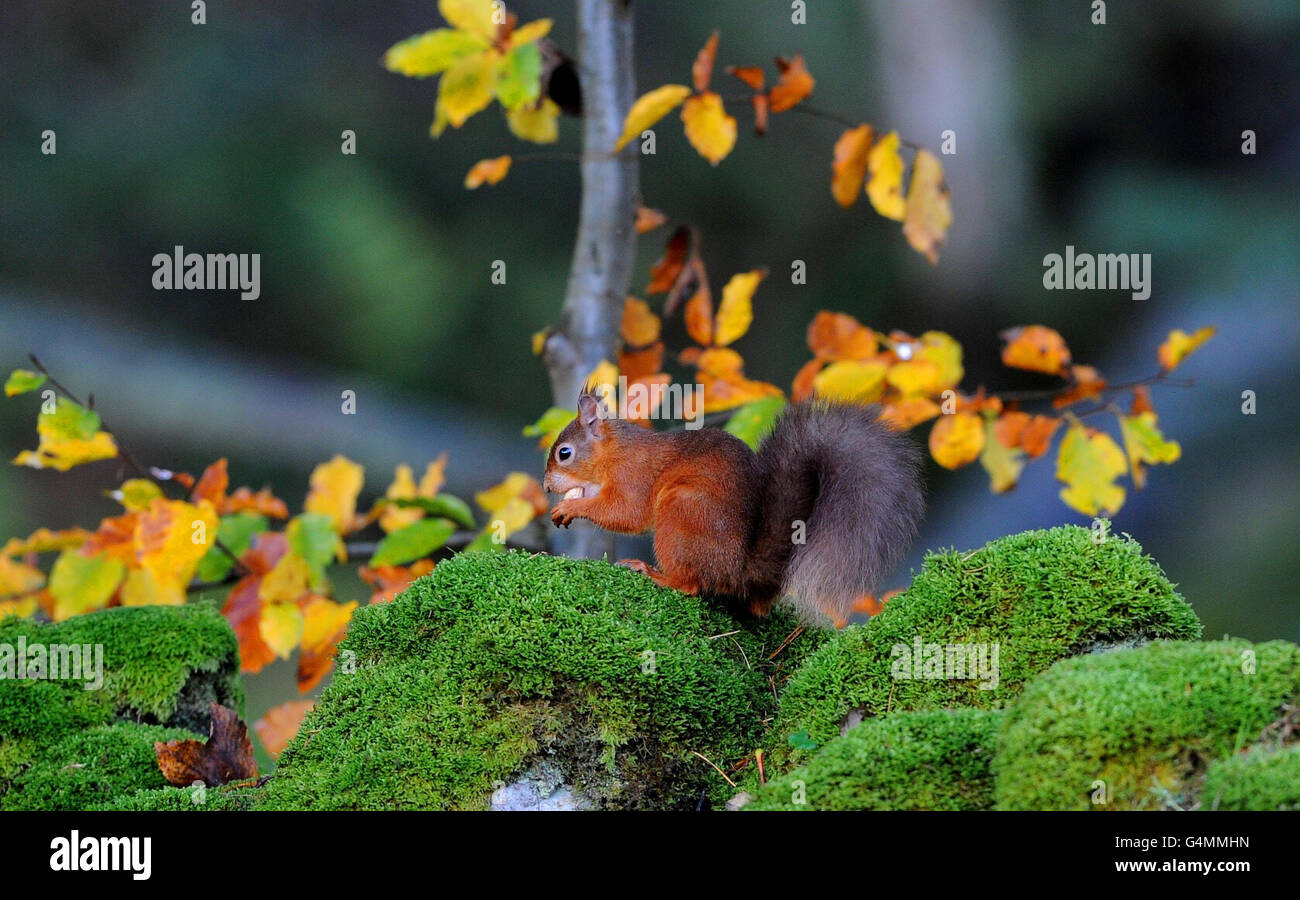 Winter weather November 1st Stock Photo - Alamy