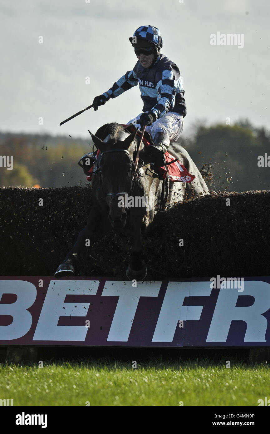 Richard Johnson on Captain Chris ploughs into the fence as he falls on ...