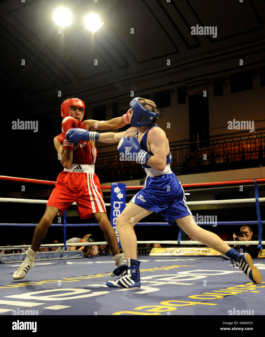 British amateur championships york hall hi-res stock photography and ...