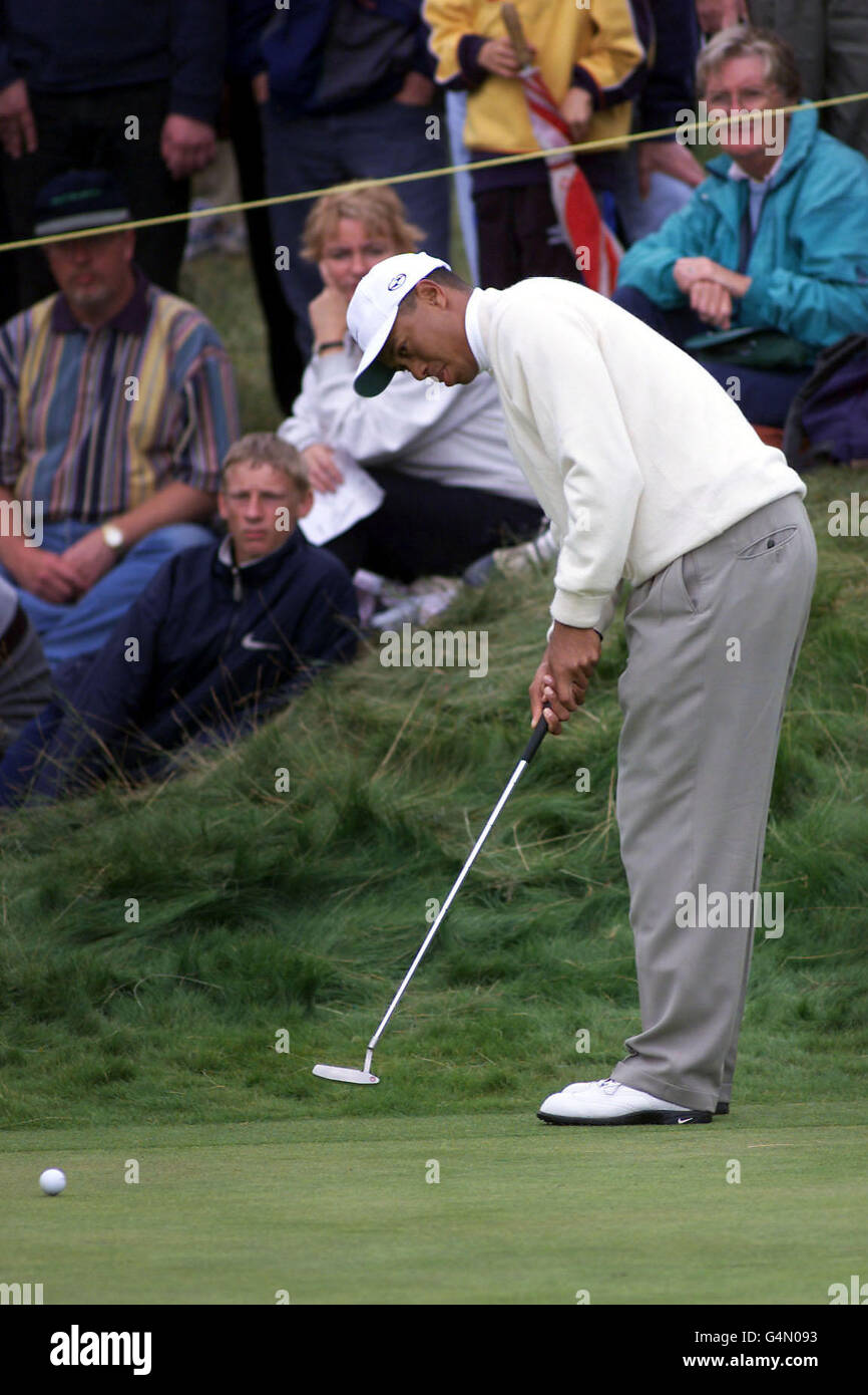 Open Golf/Tiger putt Stock Photo - Alamy