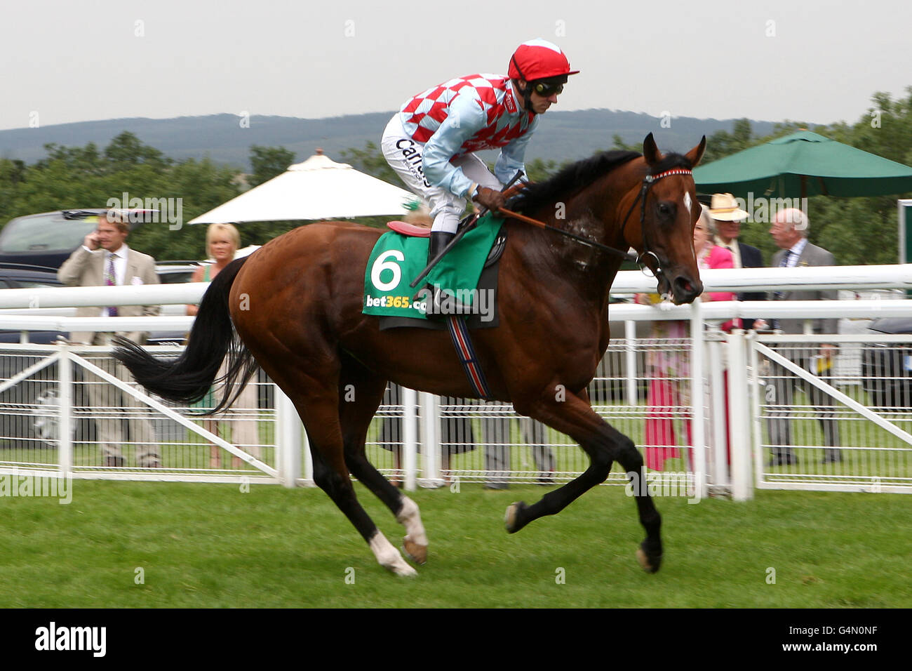 Horse Racing - 2011 Glorious Goodwood Festival - Glorious Sporting ...