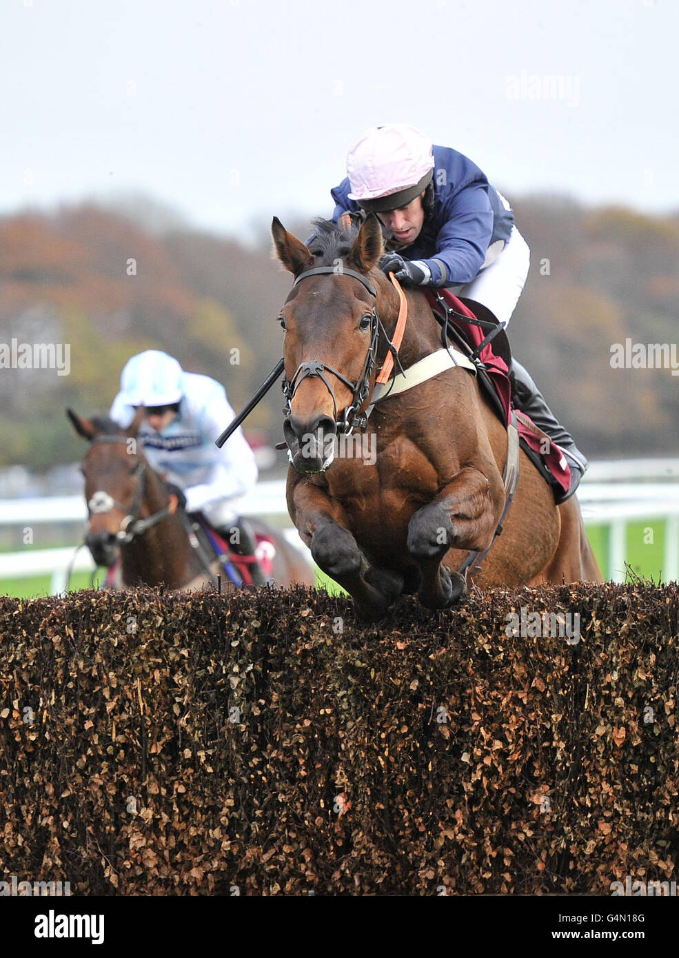 Horse racing betfair chase festival raceday haydock park racecourse hi ...