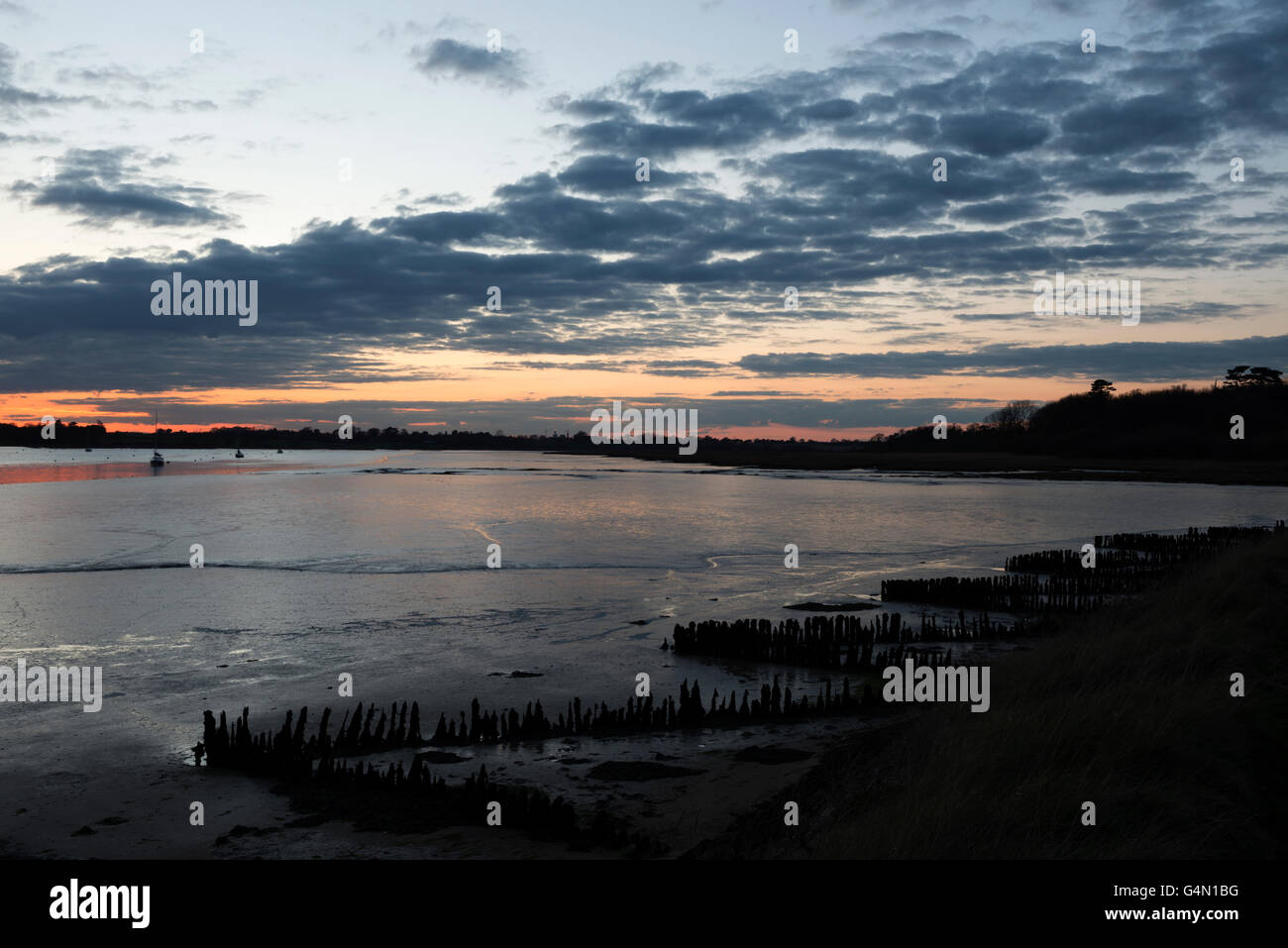 Tidal habitats hi-res stock photography and images - Alamy
