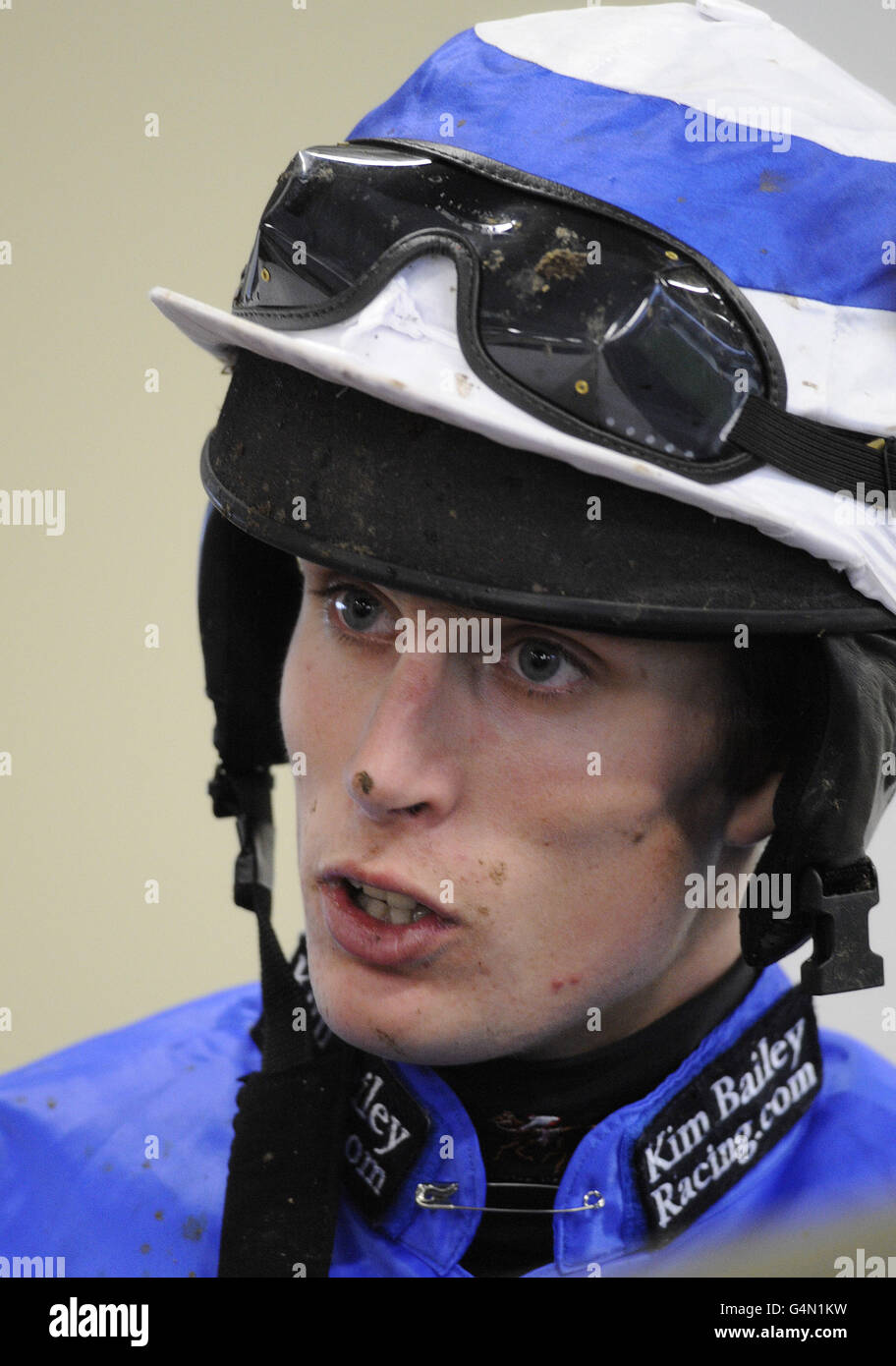 Horse Racing - November Meeting - Day One - Ascot Racecourse Stock ...