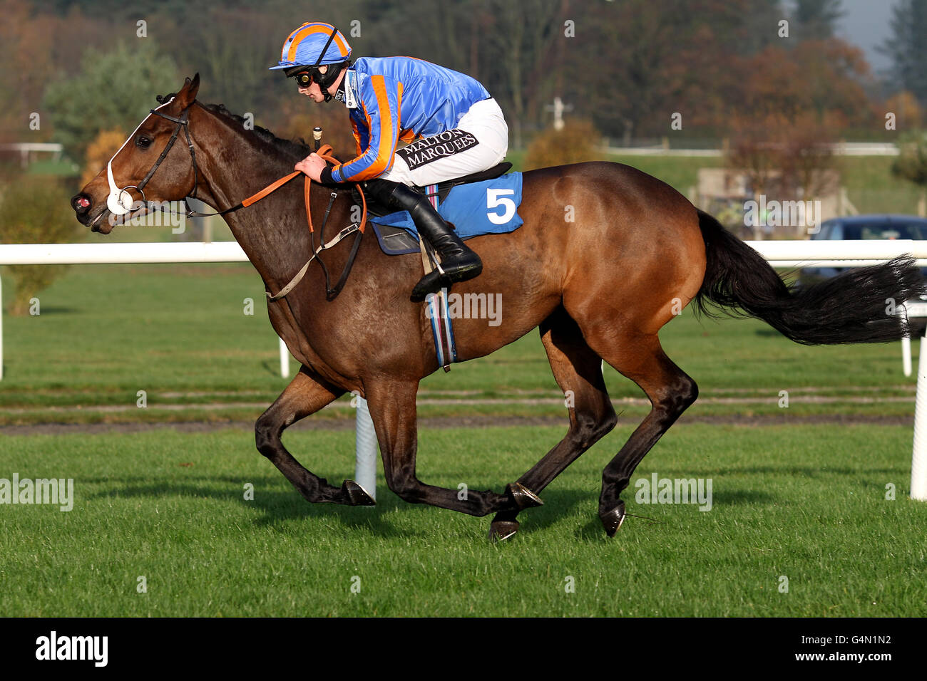 Horse Racing - Market Rasen Racecourse Stock Photo - Alamy
