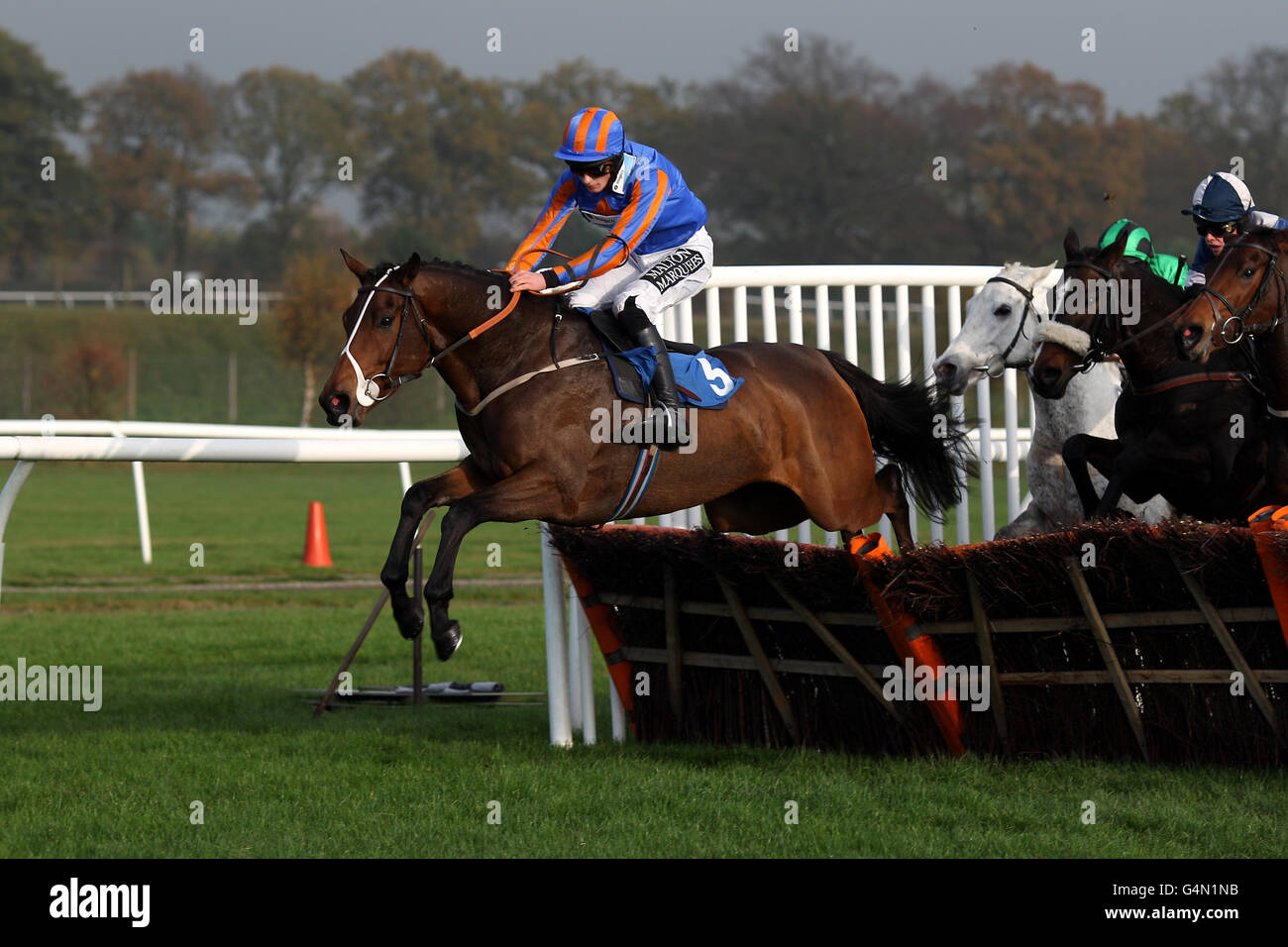 Jockey Brian Toomey on Monkton Vale during the PHS Compliance Claiming ...