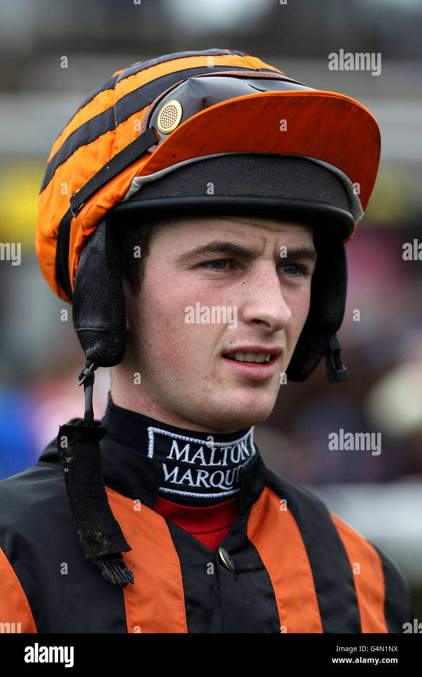 Brian toomey hi-res stock photography and images - Alamy