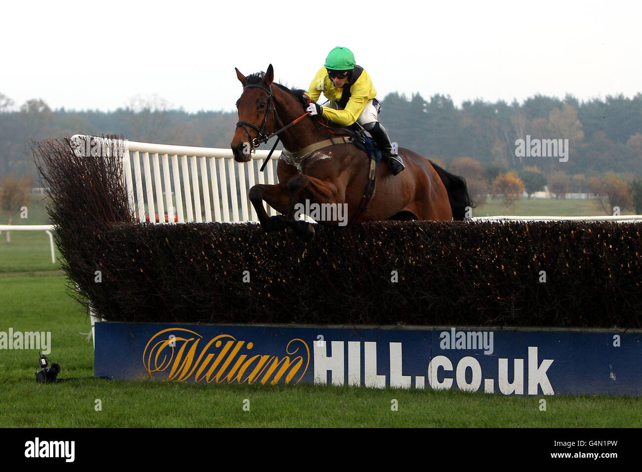 Jockey Liam Heard on Ballyallia Man during the PHS Waterlogic Beginners ...