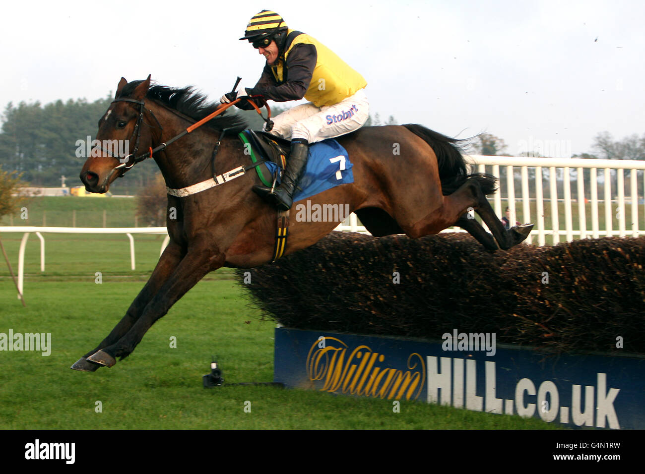 Jockey Lee Horner on Captain Hastings during the PHS Waterlogic ...