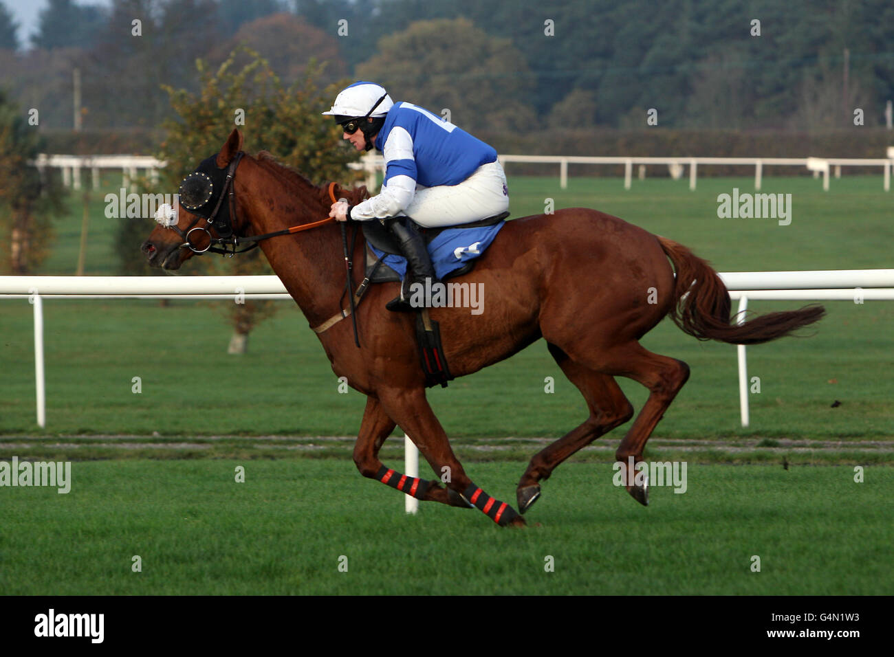 Horse racing market rasen racecourse hi-res stock photography and ...
