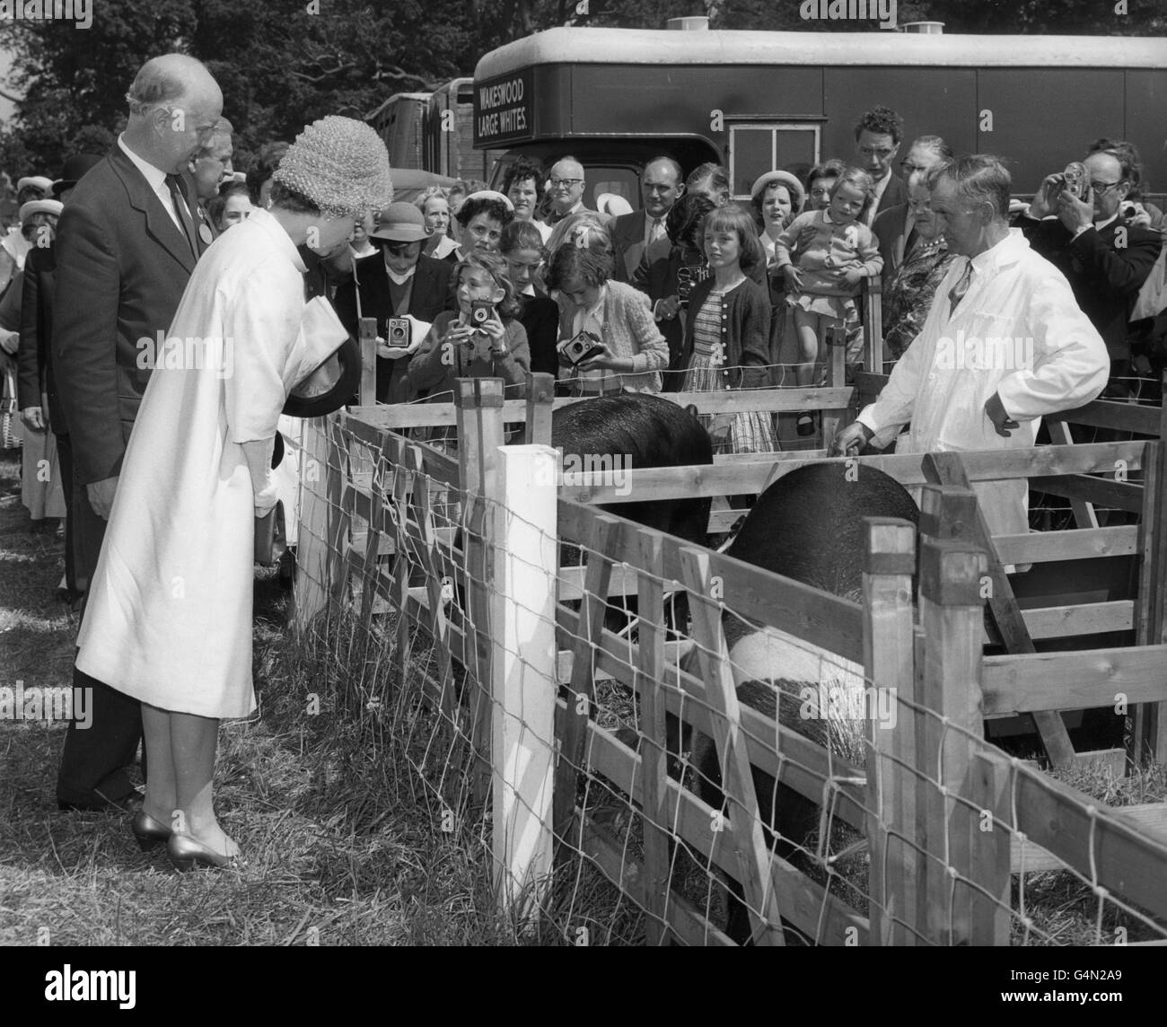 Queen Elizabeth II inspects pigs in an enclosure at the Royal Counties ...