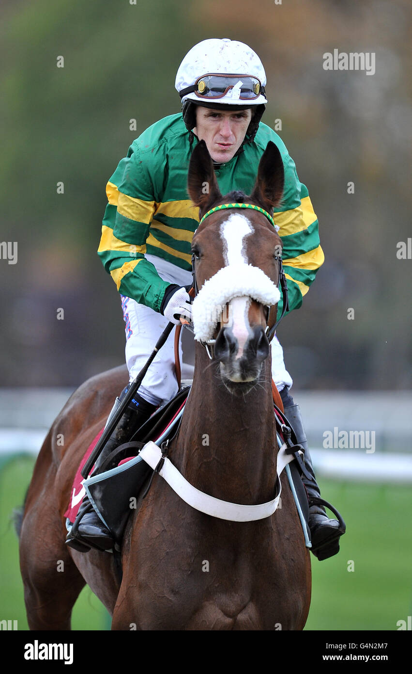 Horse racing betfair chase raceday haydock park racecourse hi-res stock ...
