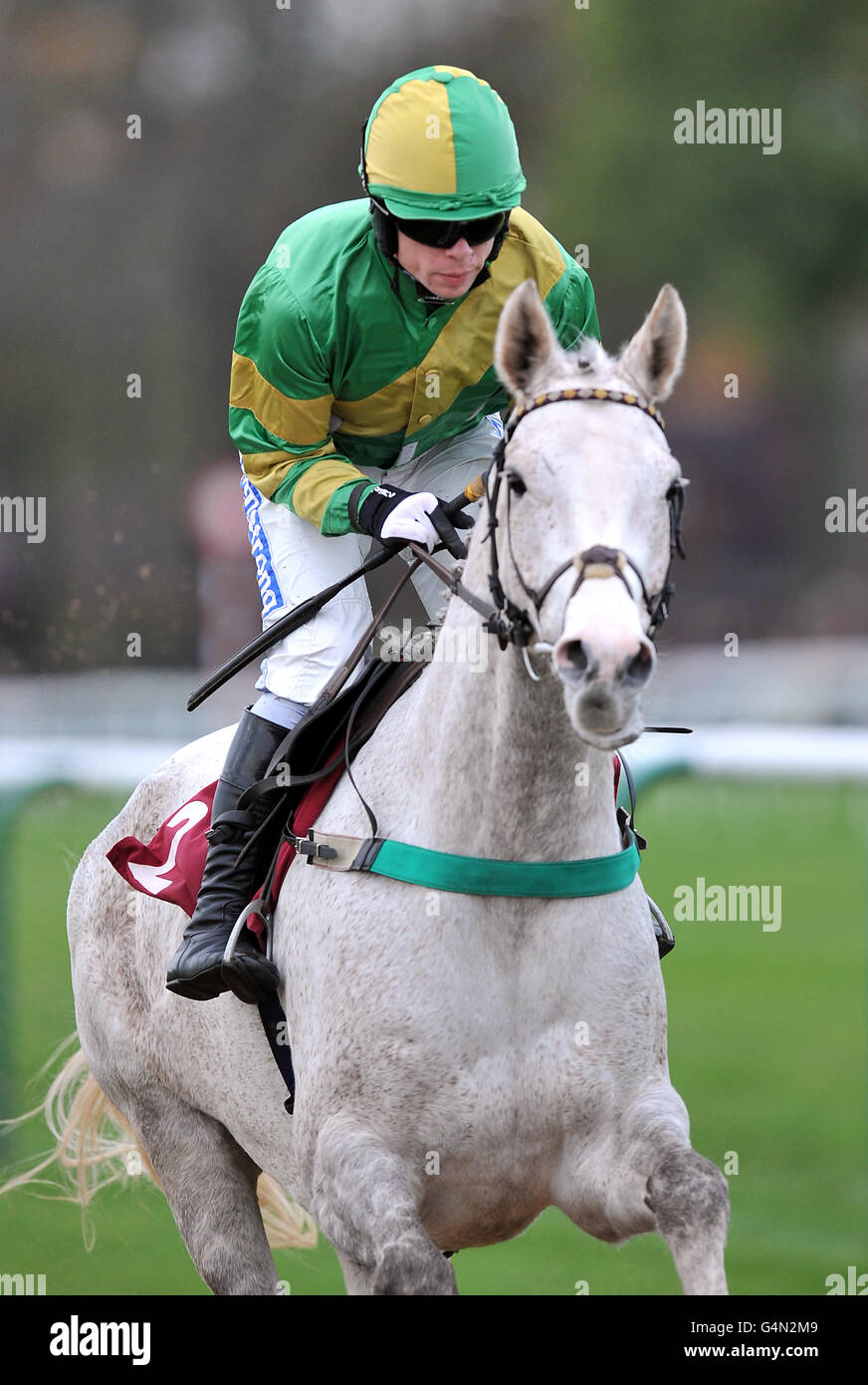 Horse racing betfair chase raceday haydock park racecourse hi-res stock ...