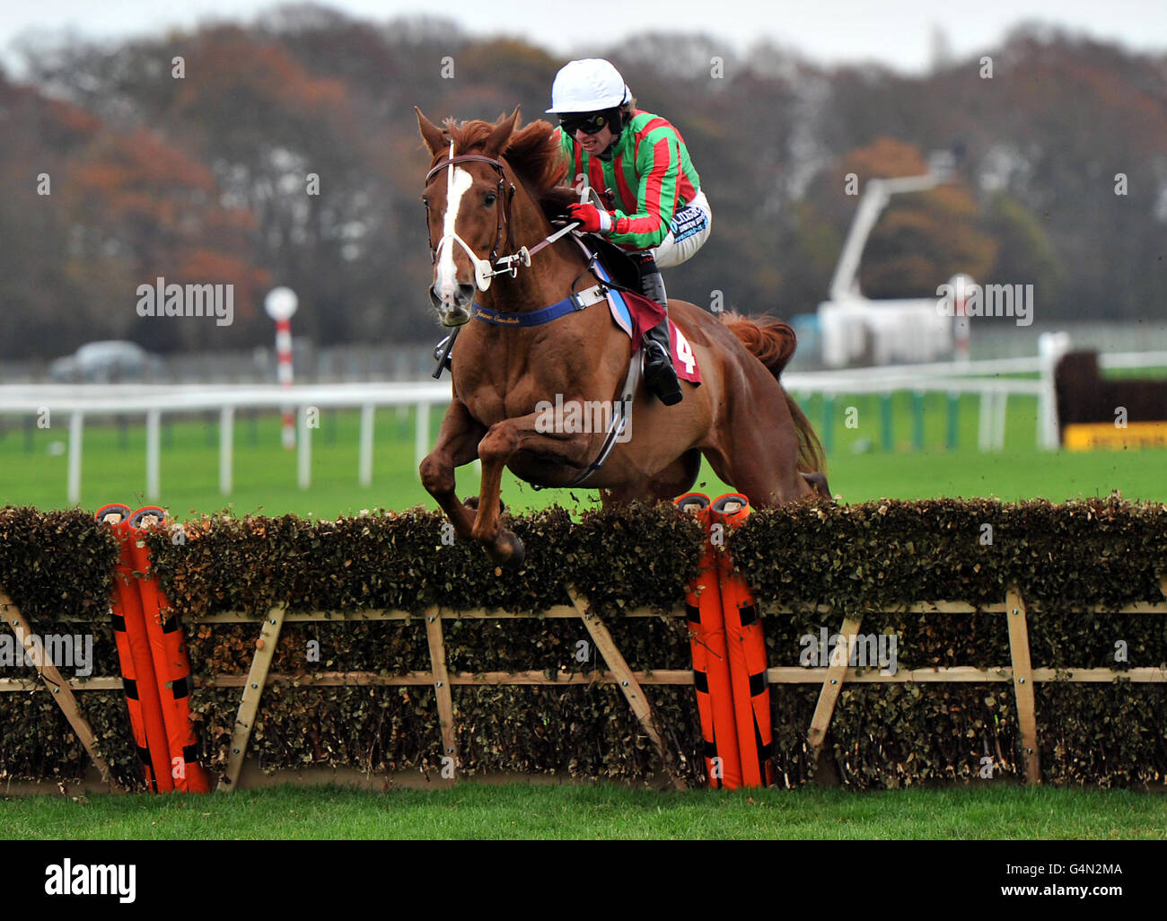 Horse racing betfair chase raceday haydock park racecourse hi-res stock ...