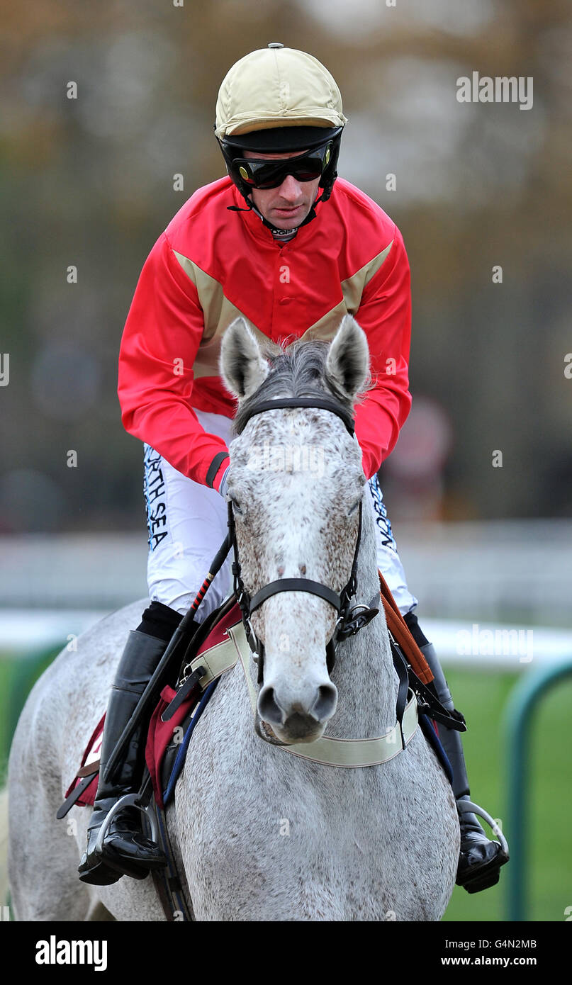 Horse racing betfair chase raceday haydock park racecourse hi-res stock ...