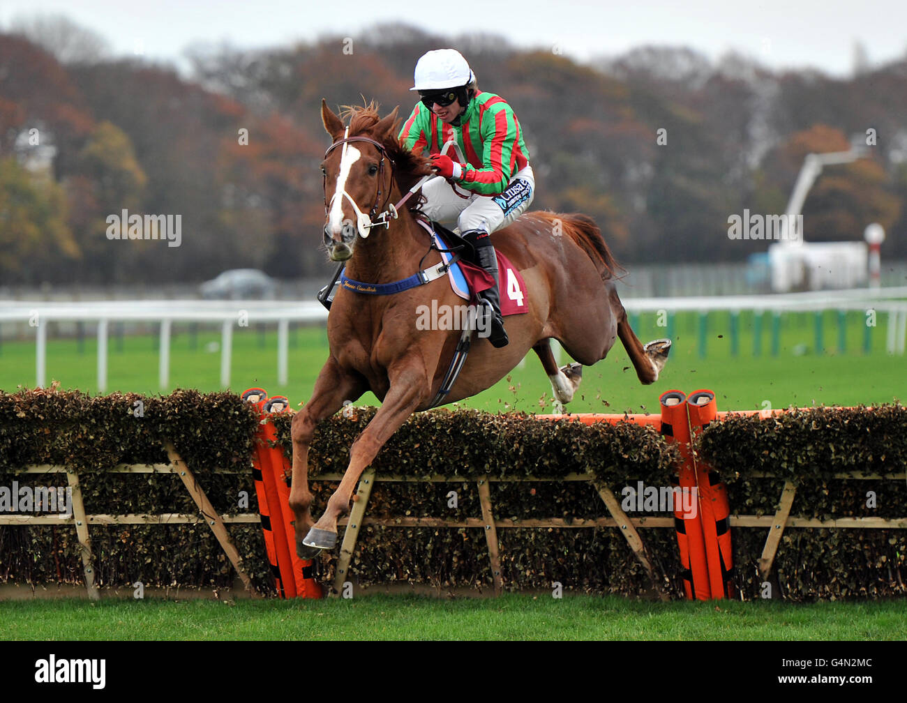 Horse racing betfair chase raceday haydock park racecourse hi-res stock ...