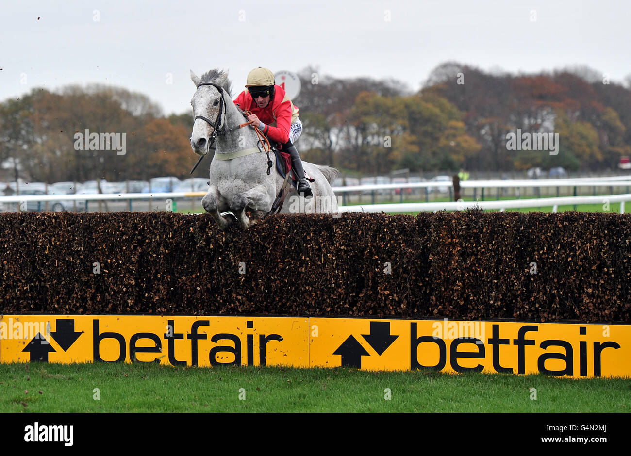 Horse racing betfair chase raceday haydock park racecourse hi-res stock ...