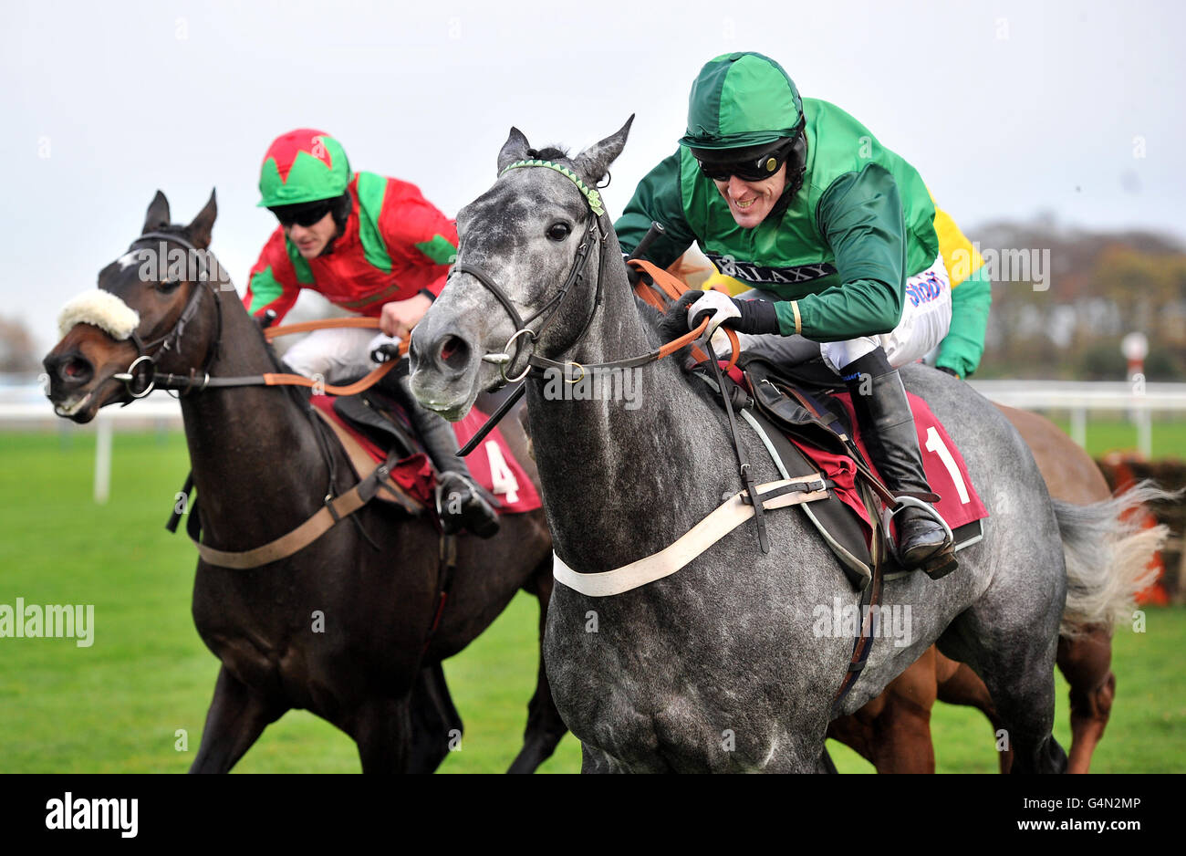 Horse racing betfair chase raceday haydock park racecourse hi-res stock ...