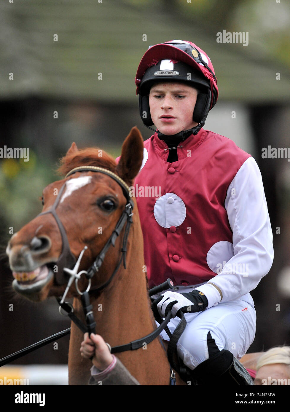 Horse racing betfair chase raceday haydock park racecourse hi-res stock ...
