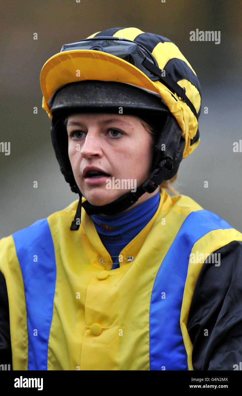 Horse racing betfair chase festival raceday haydock park racecourse hi ...