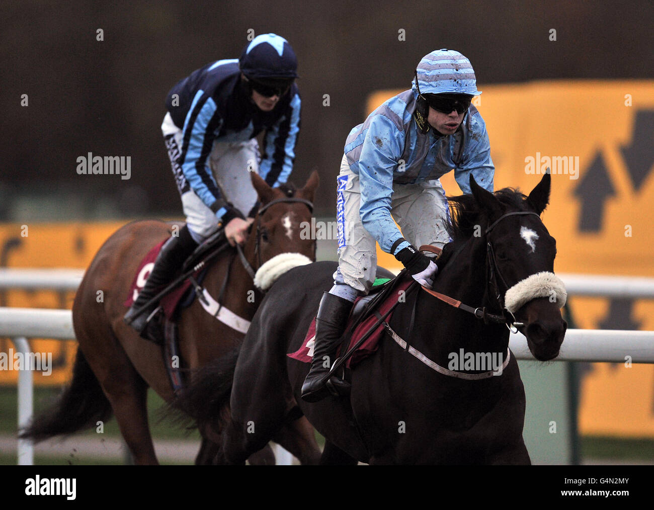 Horse racing betfair chase raceday haydock park racecourse hi-res stock ...