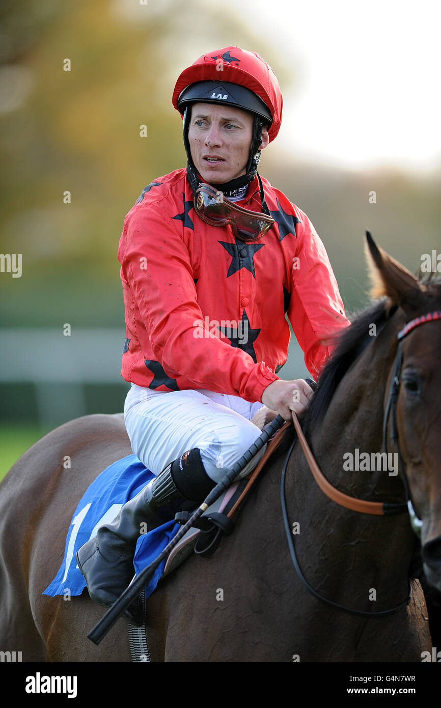 Aquilla ridden by jockey Eddie Ahern going to post prior to the PHS ...