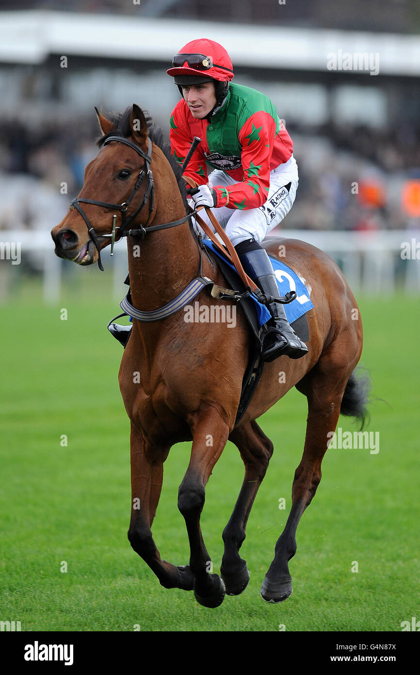 Horse Racing - Sunday Racing - Huntingdon Racecourse Stock Photo - Alamy