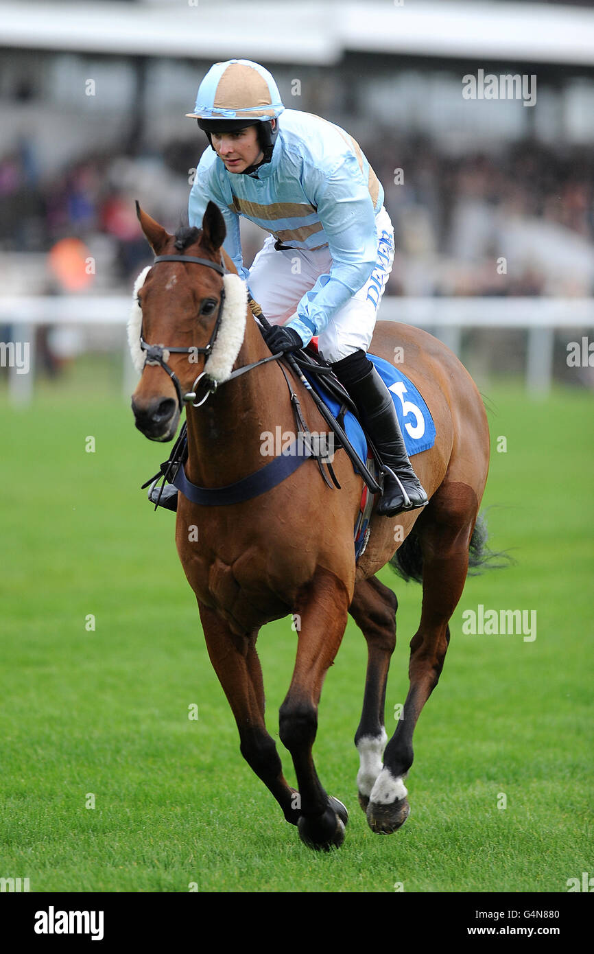 Horse Racing - Sunday Racing - Huntingdon Racecourse Stock Photo - Alamy