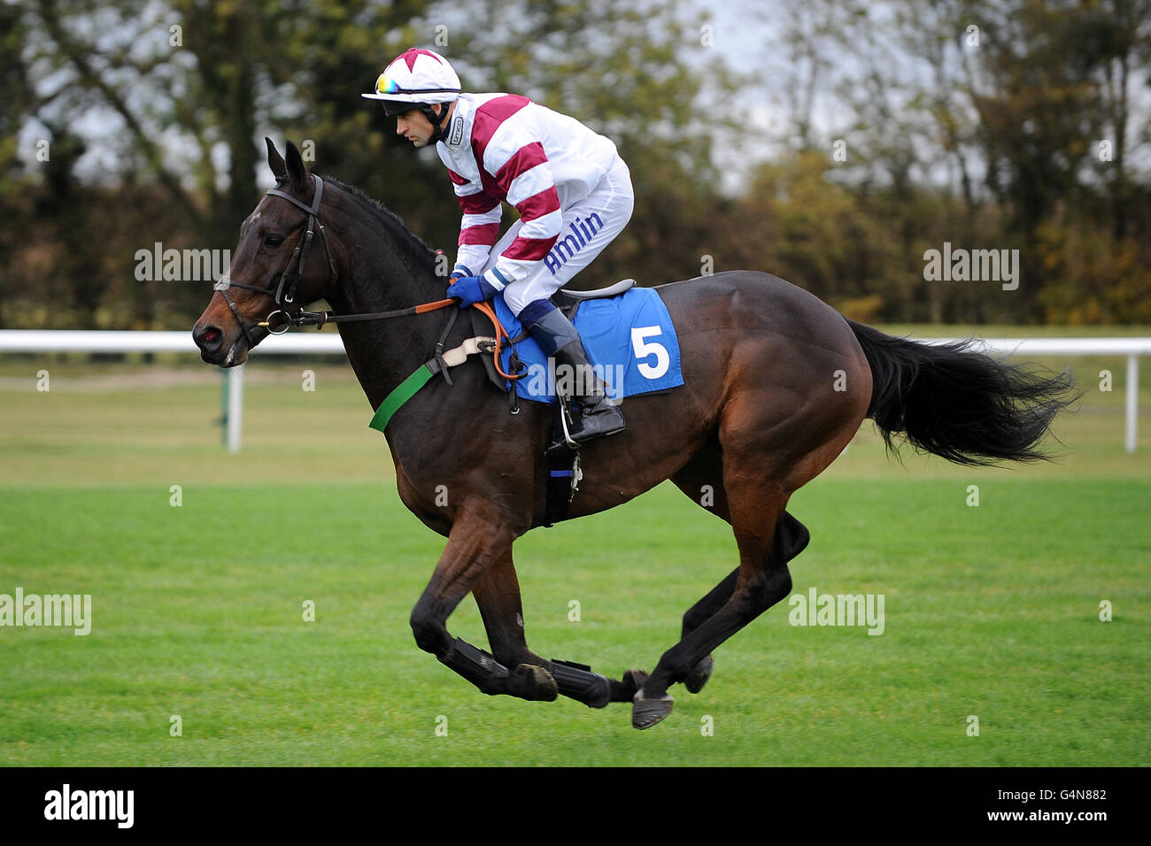 Horse Racing - Sunday Racing - Huntingdon Racecourse Stock Photo - Alamy