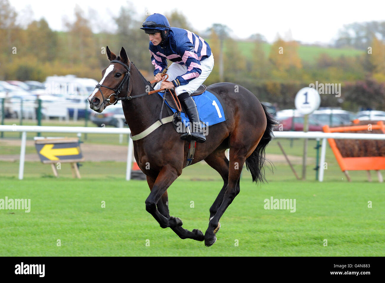 Horse Racing - Sunday Racing - Huntingdon Racecourse Stock Photo - Alamy