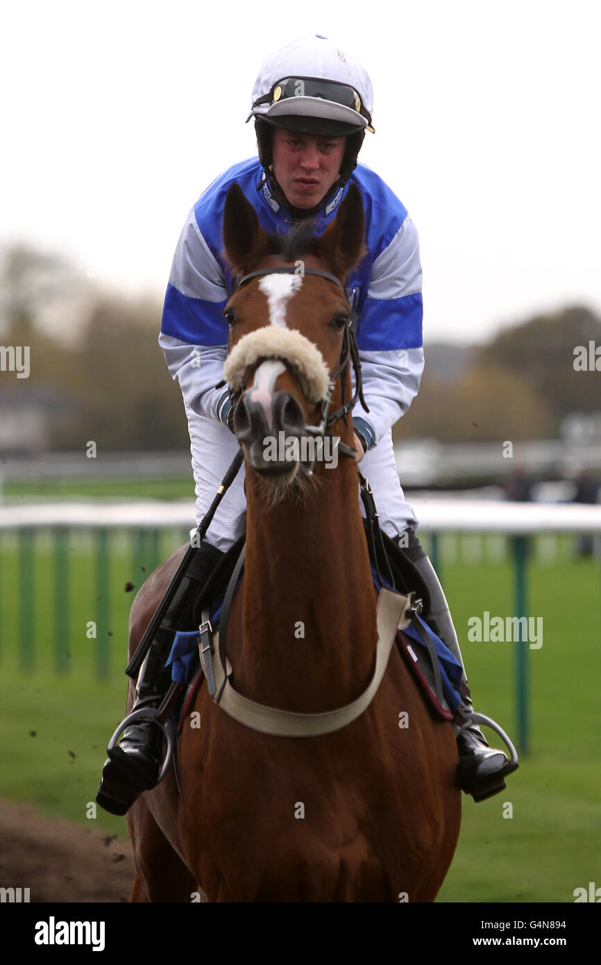 Messenger horse hi-res stock photography and images - Alamy