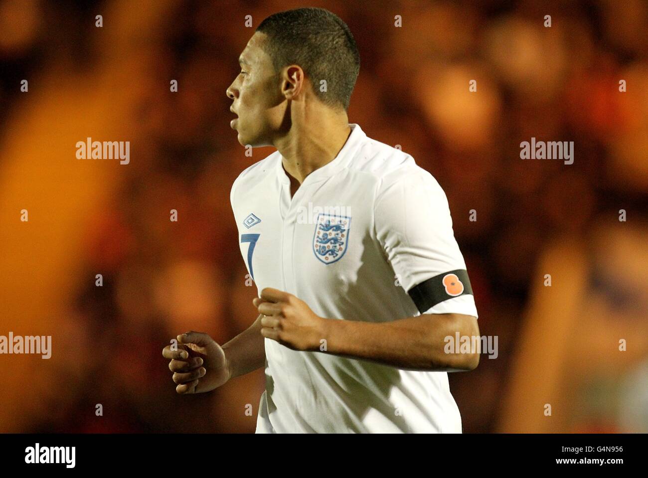 Poppy remembrance armband hi-res stock photography and images - Alamy