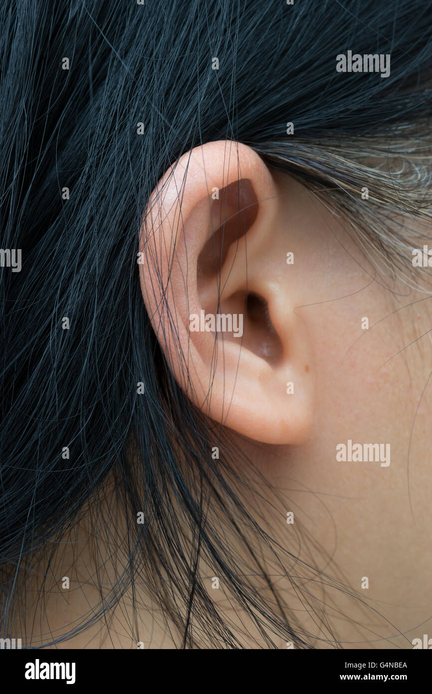 Asian human ear close up hi-res stock photography and images - Alamy