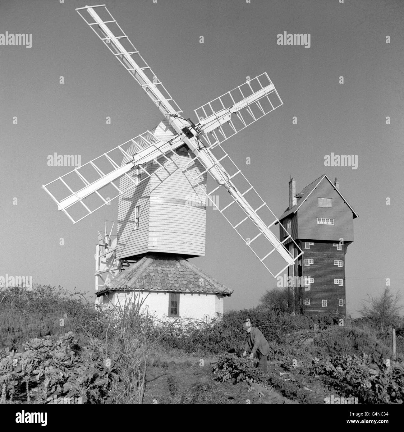 Light-coloured windmill and the odd tall house give a strange air of ...
