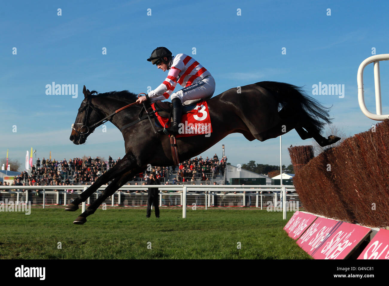 Jockey Ruby Walsh on Woolcombe Folly during the Shloer Chase Stock ...