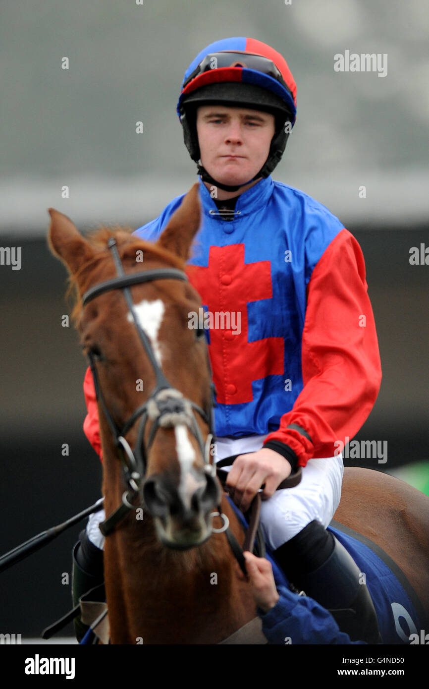 Jockey Maurice Linehan on My Mate Vinnie prior to the Stephens And ...