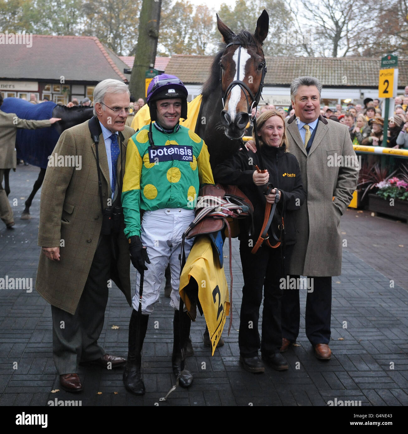 Horse racing betfair chase raceday haydock park racecourse hi-res stock ...