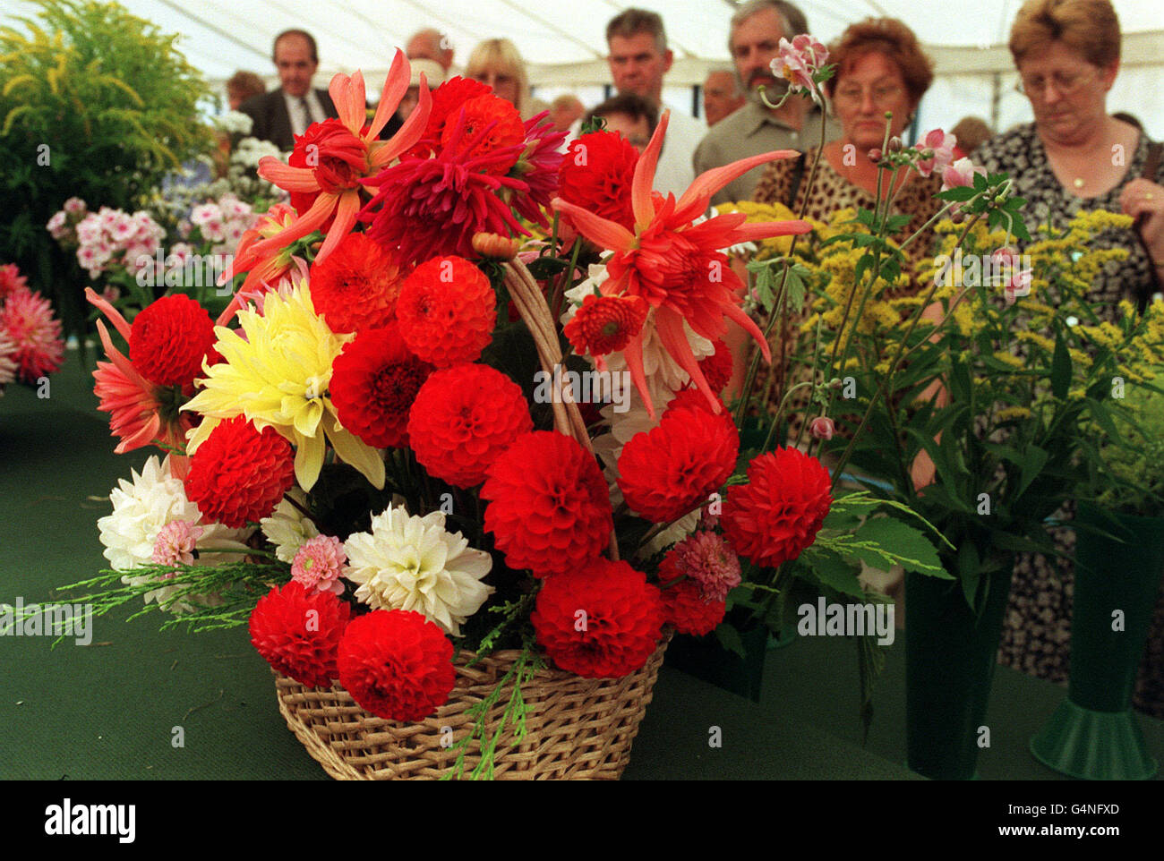 Sandringham Flower Show Stock Photo - Alamy