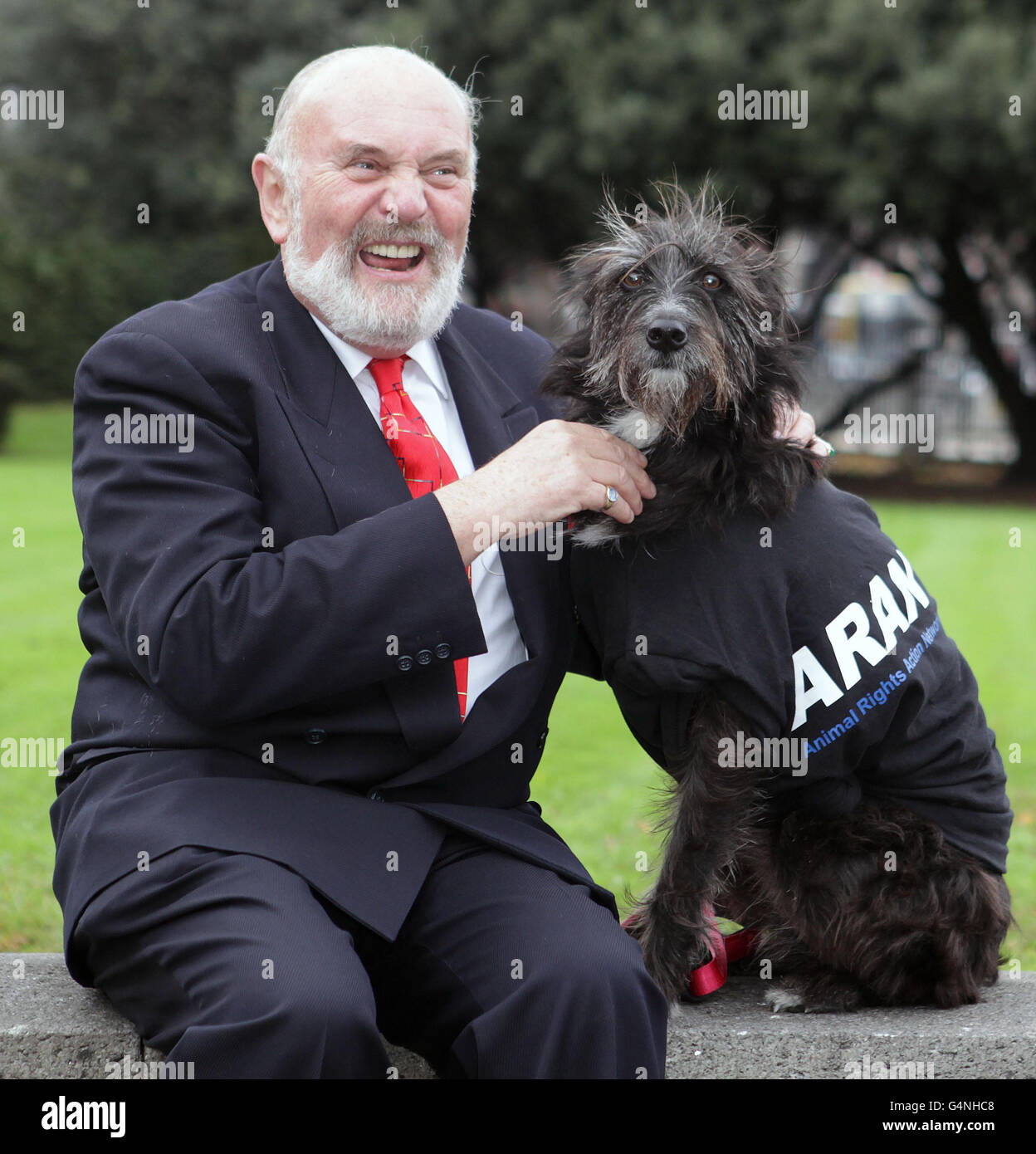 What Are Dog Breeding Rights